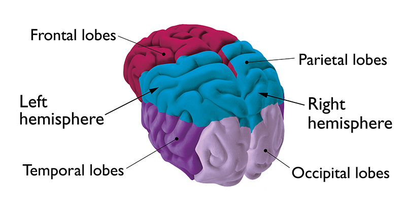 Focal seizures - Epilepsy Action
