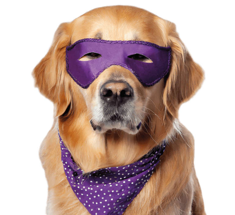 Purple Day - Epilepsy Action