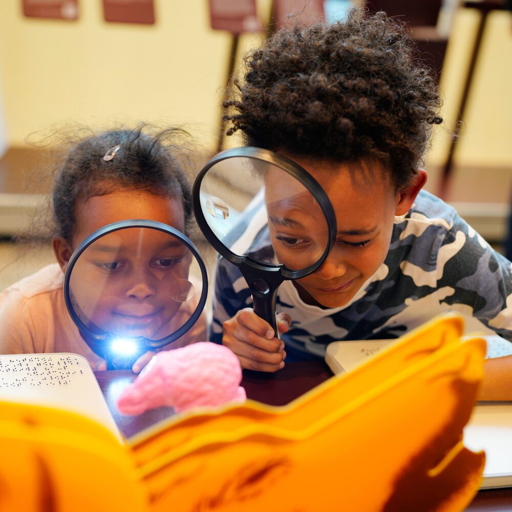 HELLO BRAIN! exhibition explores how the brain works - Epilepsy Action