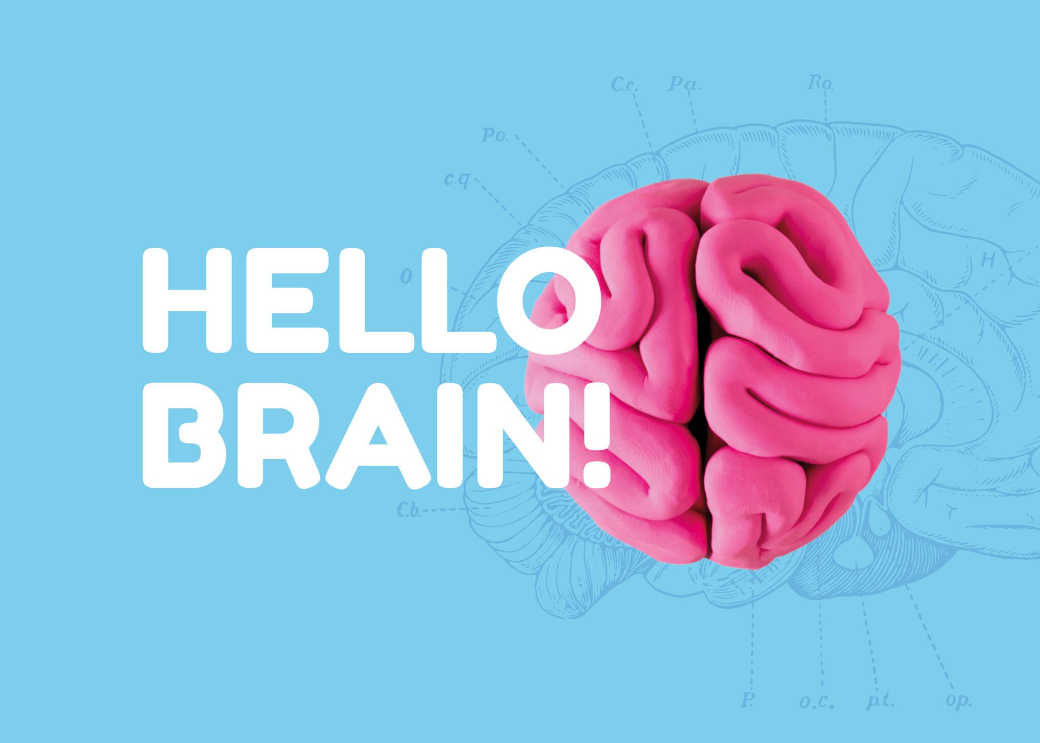 HELLO BRAIN! exhibition explores how the brain works - Epilepsy Action