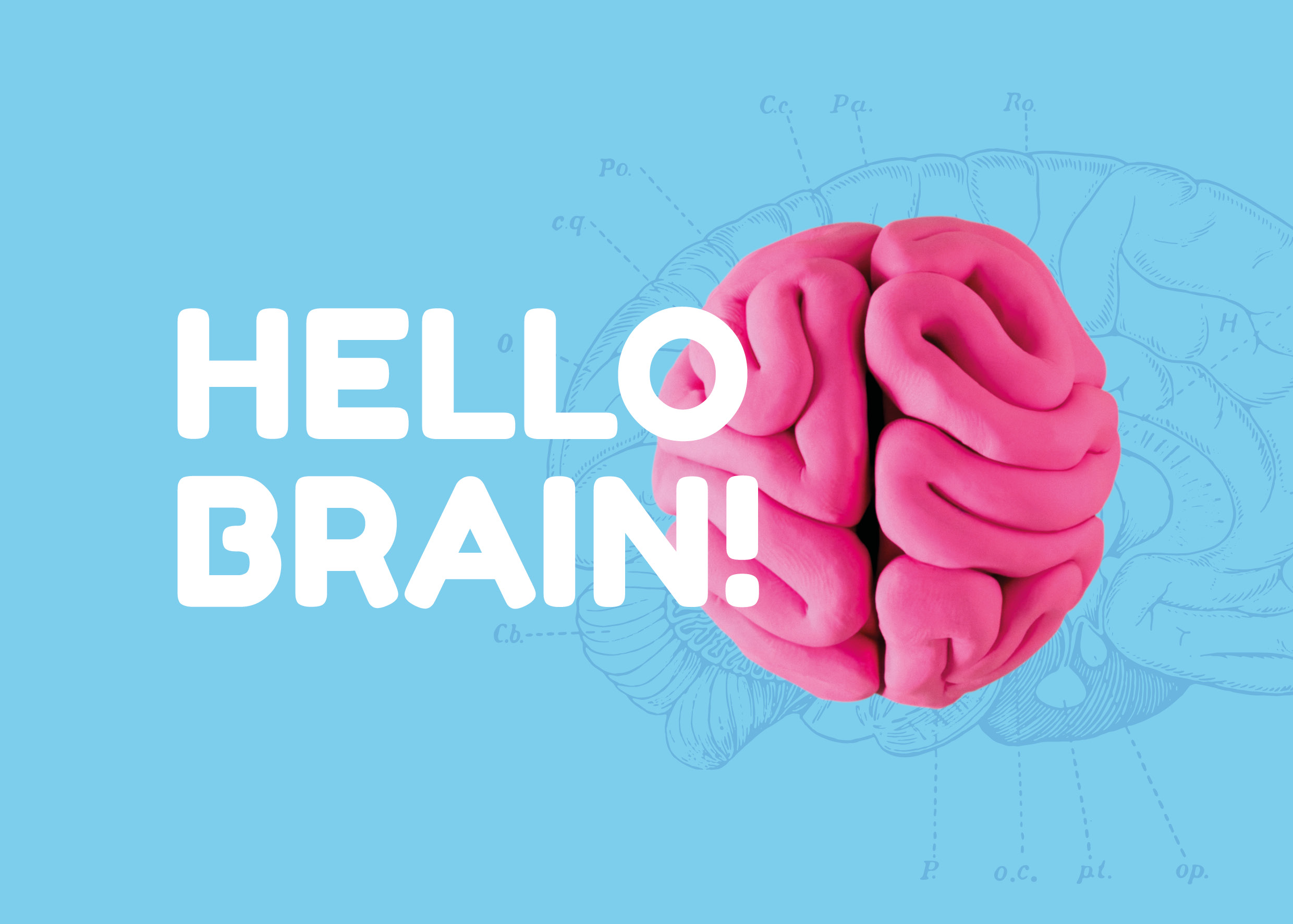 HELLO BRAIN! exhibition explores how the brain works - Epilepsy Action