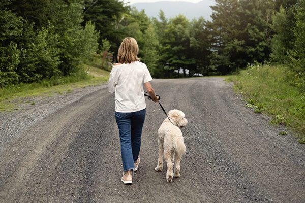 Epilepsy and menopause: answering your questions - Epilepsy Action