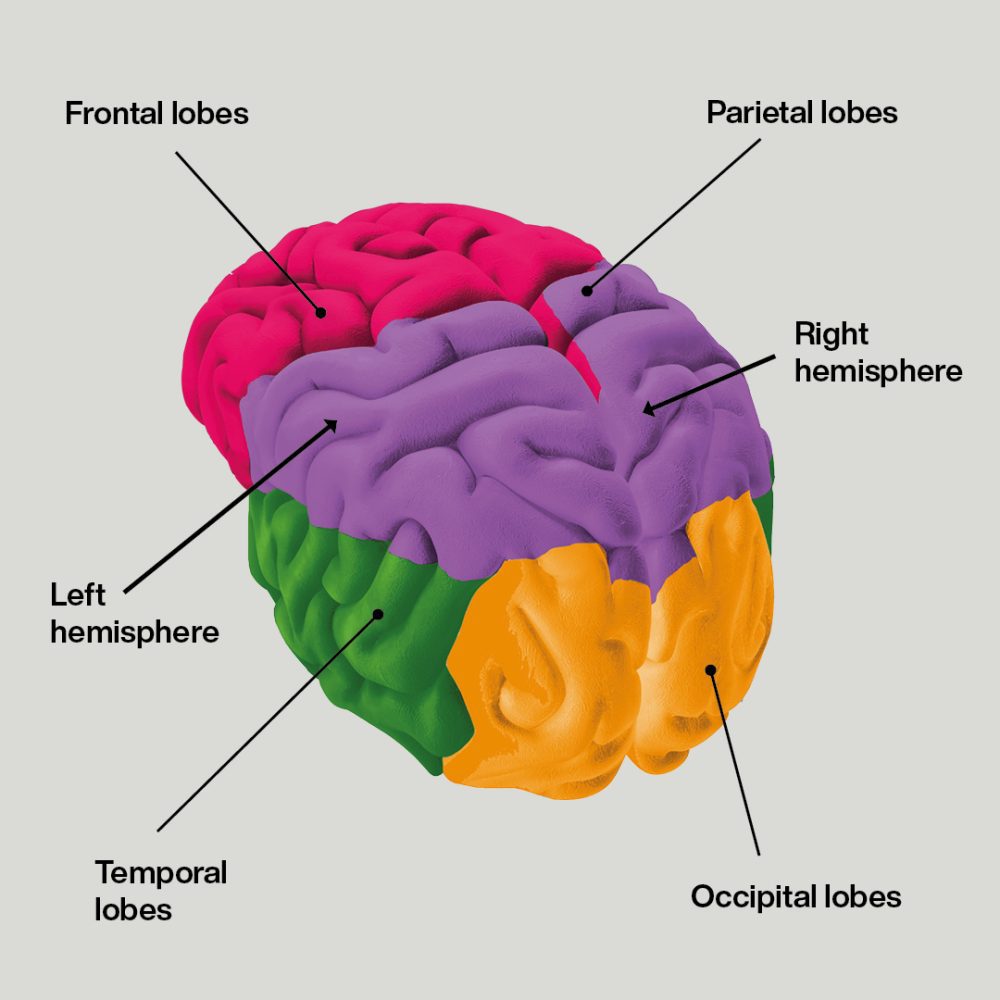 Focal seizures - Epilepsy Action